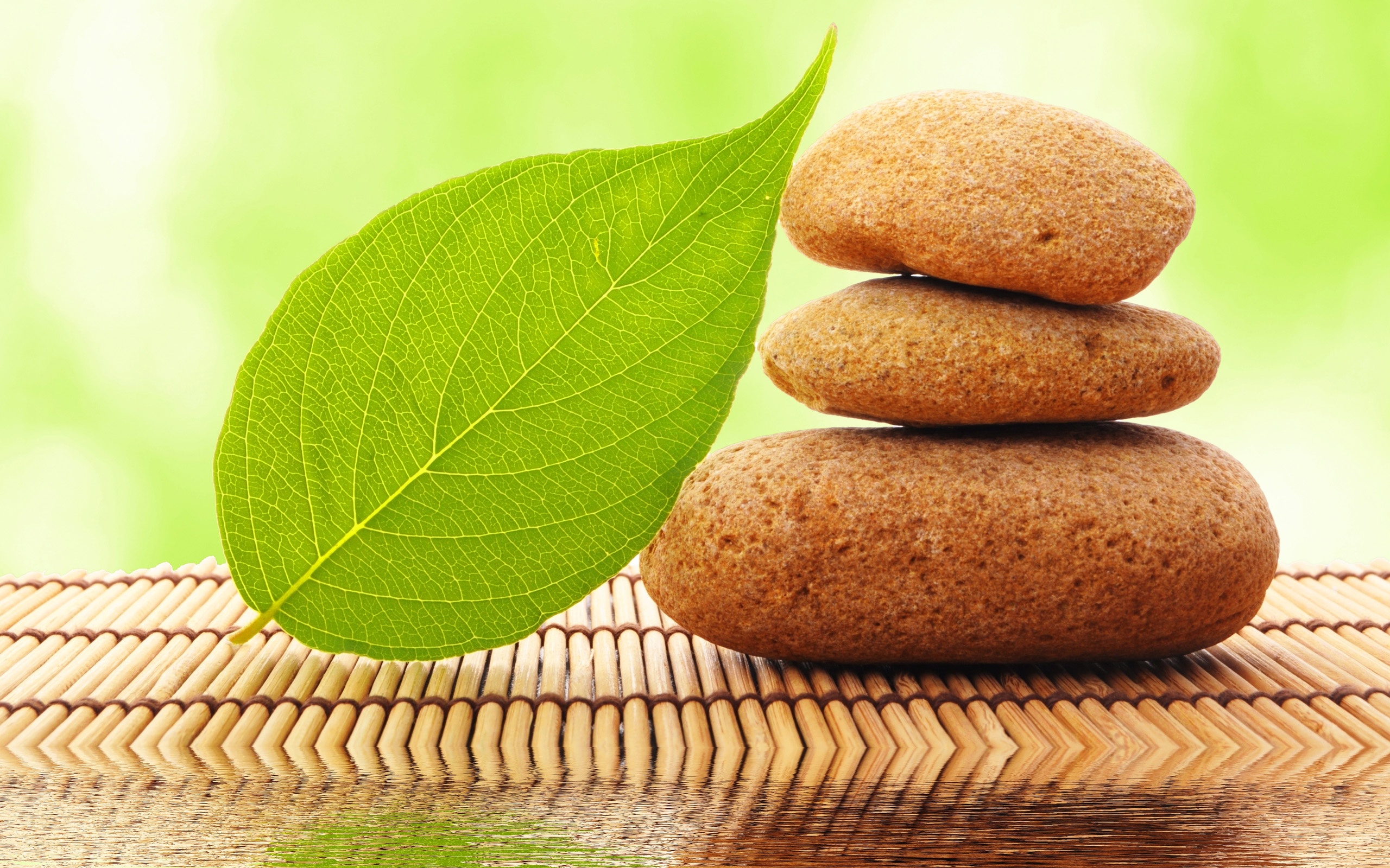 Cos’è lo Zen, filosofia, religione o stile di vita? | Suntime Magazine